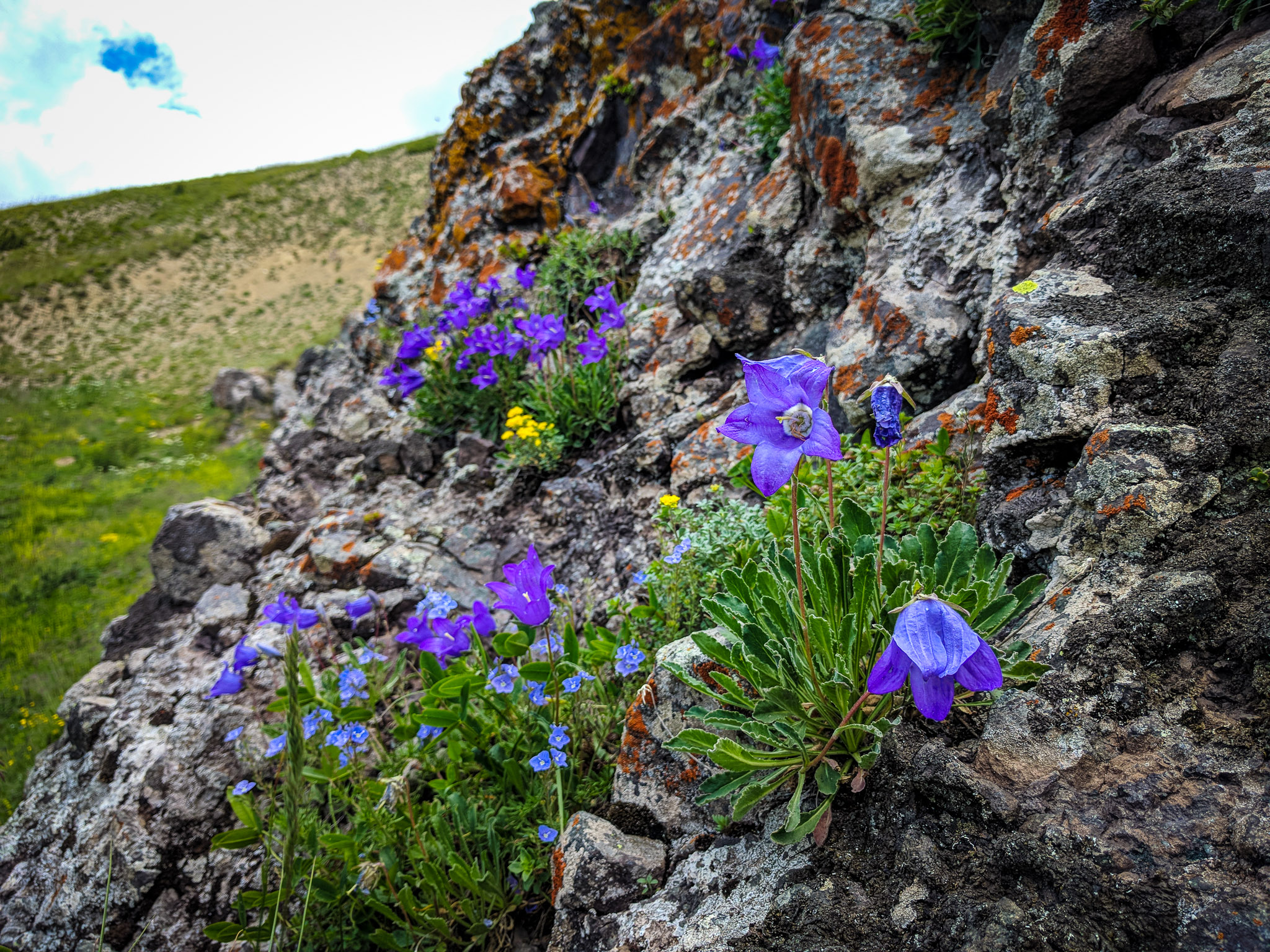 Why 2020 Is The Best Year To Join Our Supporters’ Trek In Dilijan ...